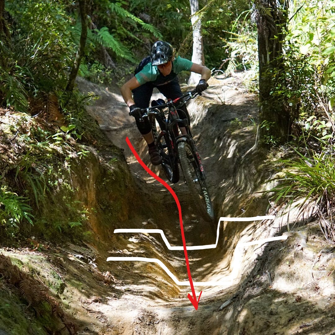 A dictionary guide to trail features – Lynette Deacon MTB